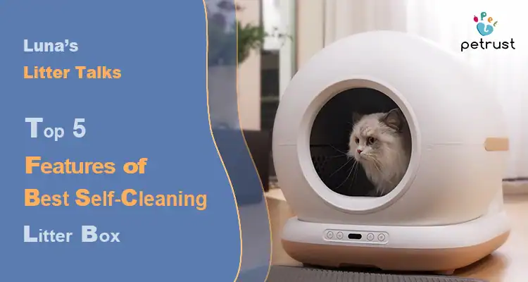 Top 5 Features of Best Self-Cleaning Litter Box - Luna’s Litter Talks